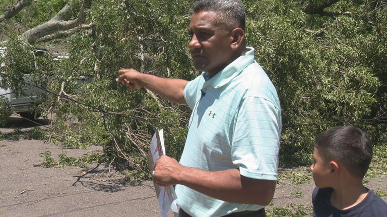 Severe storms topple trees, damage homes across Saline and Garland counties