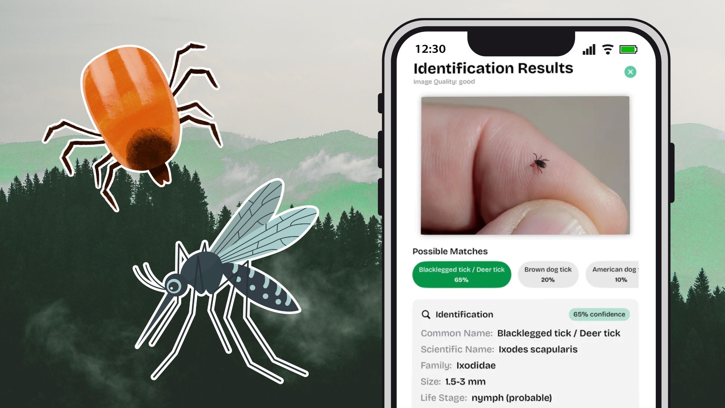 As tick-borne diseases rise, one researcher built an app to fight bug myths