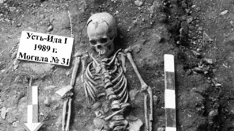 Hallazgo histórico: el ADN antiguo revela un suceso devastador que ...