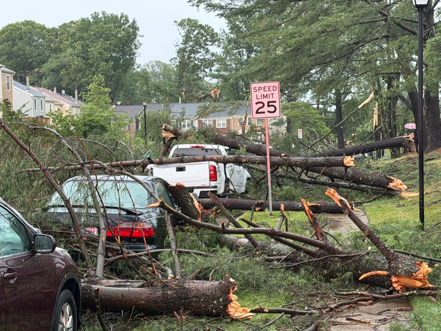 Severe storms cause power outages, knock down trees in Burke