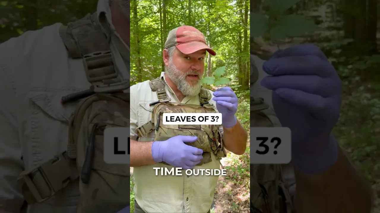 How to identify poison ivy before it gets you