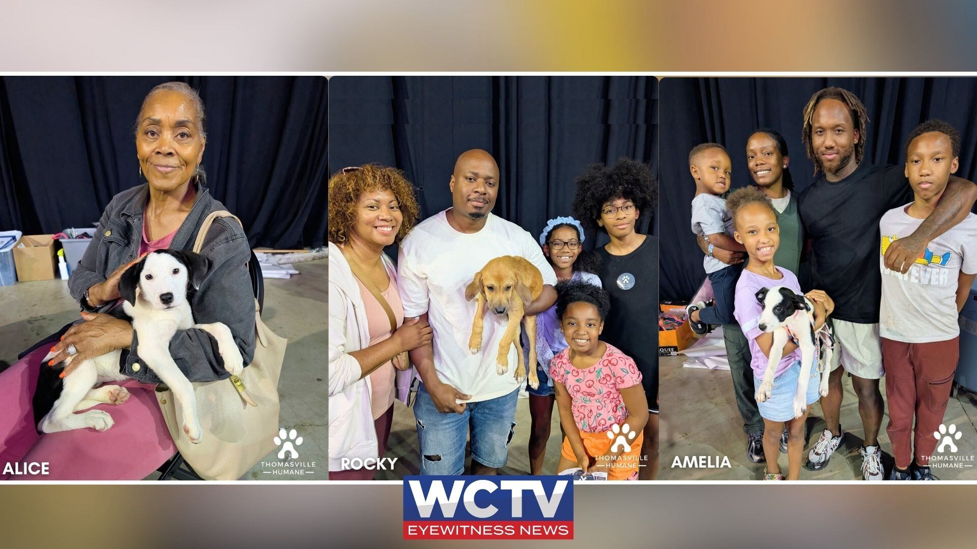 Thomasville Humane: Over 50 dogs rescued from high-risk shelters find ...