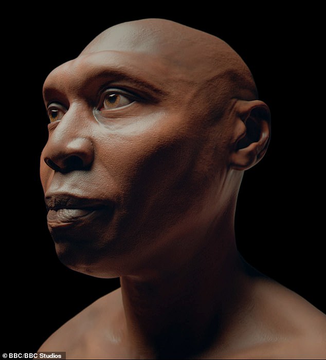 Growth spurt! Humans 'jumped' in size two million years ago, scientists ...