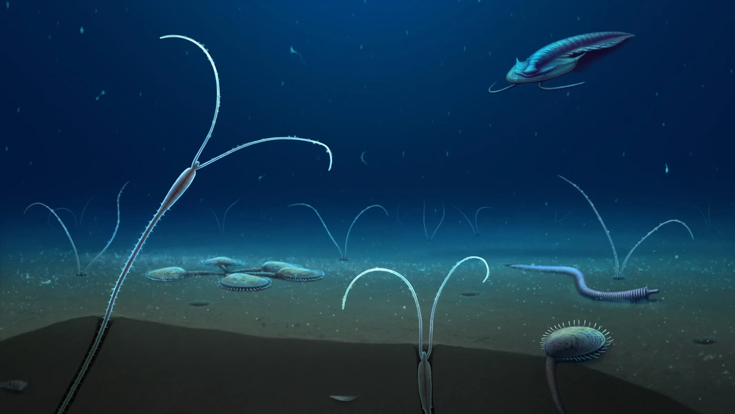 From clonal seas to evolutionary surge