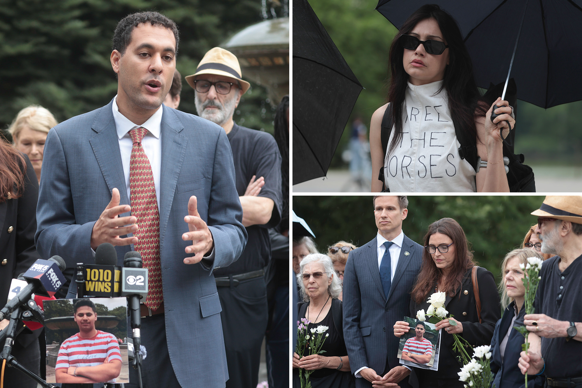 Stricken kin of teen tourist killed by horse carriage demand NYC ban ...