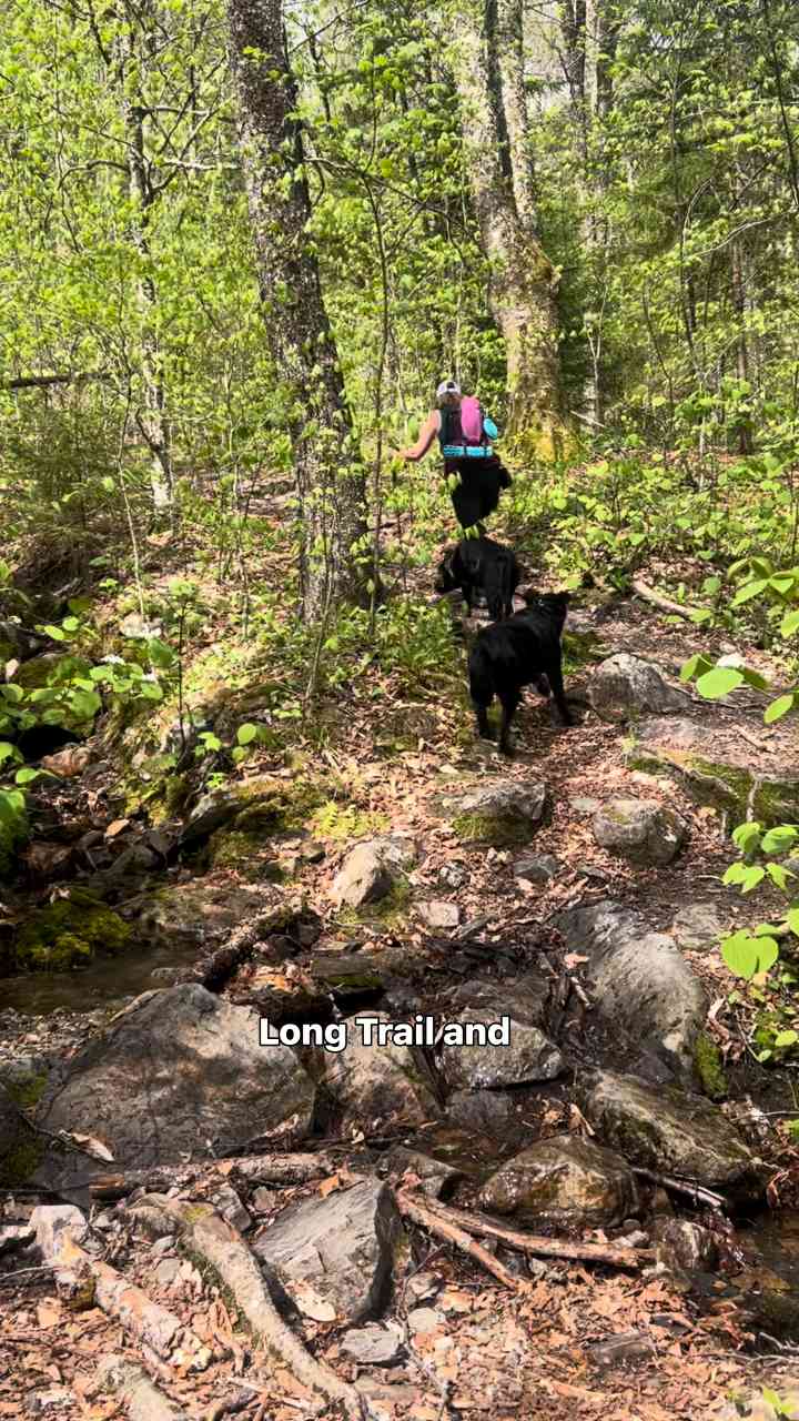 White Rocks Cliff Trail in Wallingford, Vermont