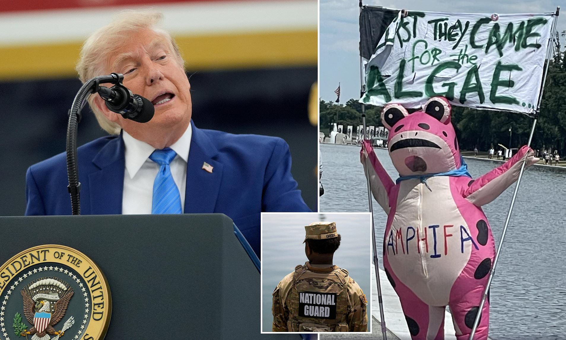 Trump blasts 'crazy pro-algae' protesters as National Guard deployed to ...
