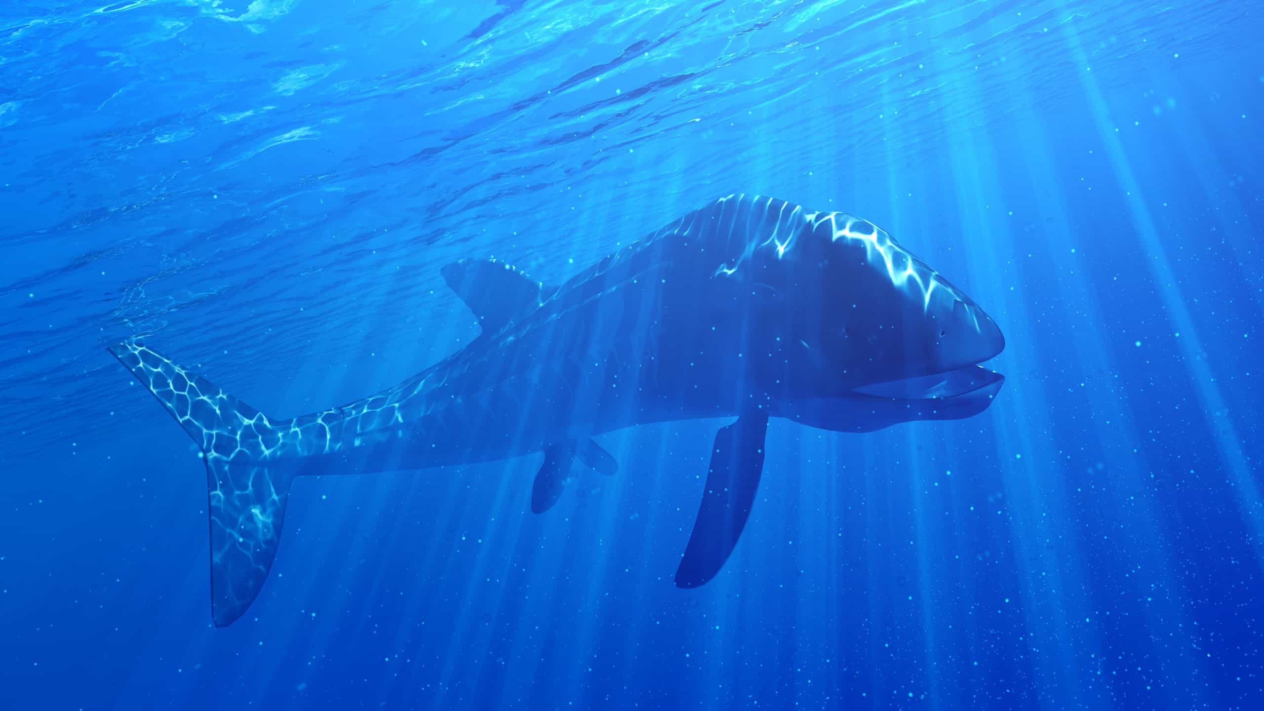 This ancient sea monster was 22 times bigger than a great white shark
