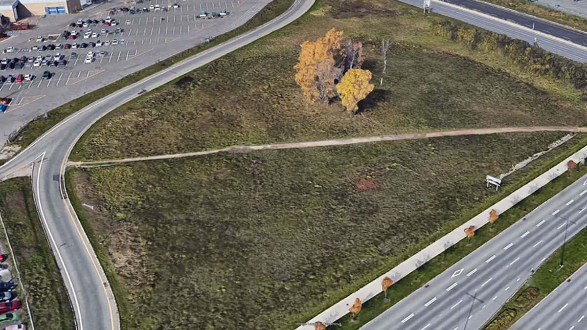 75 examples of desire paths that prove shortcuts will always win