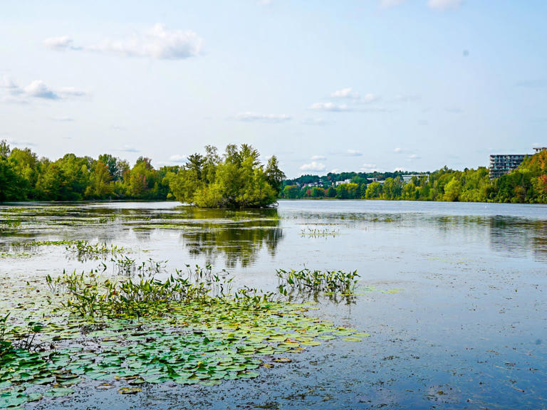 Les accès publics à la rivière Magog fermés à Sherbrooke