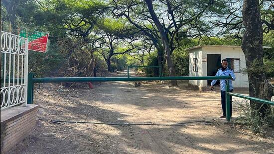 Patch in Delhi’s Central Ridge cleared for themed forest project: Activists