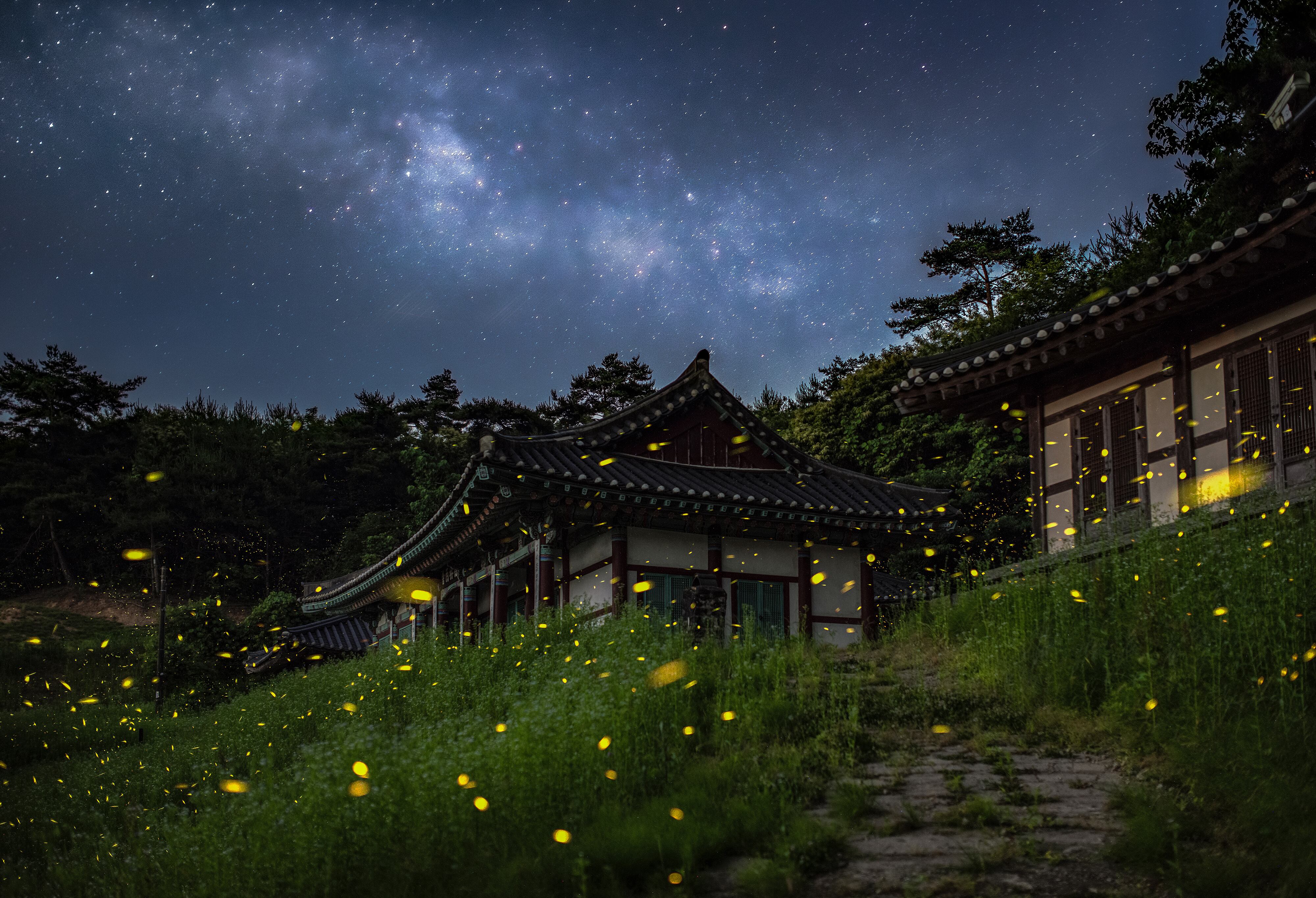 Milky Way and fireflies converge in rare early summer night display