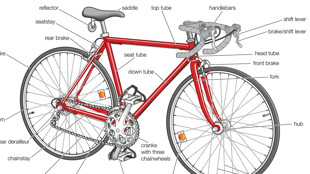 Evolving trends and challenges in endurance cycling