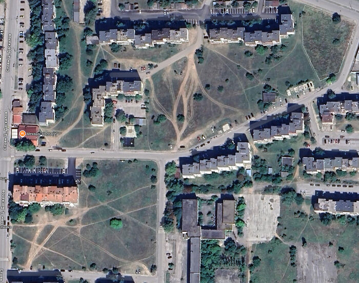 75 examples of desire paths that prove shortcuts will always win