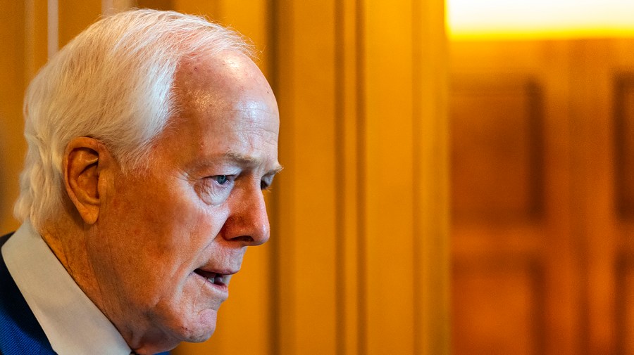 Cornyn: Trump 'seems to revel in chaos'