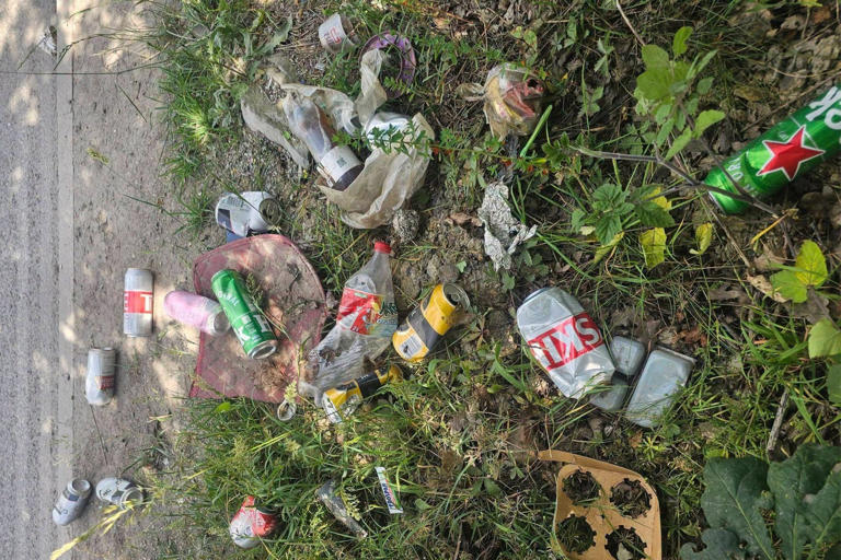 In photos: Litter pickers slam 'shocking' area near M1 as 'worst' in ...