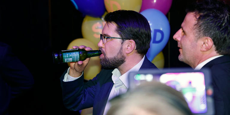 Unga vill öla med Åkesson – men ha S i regering