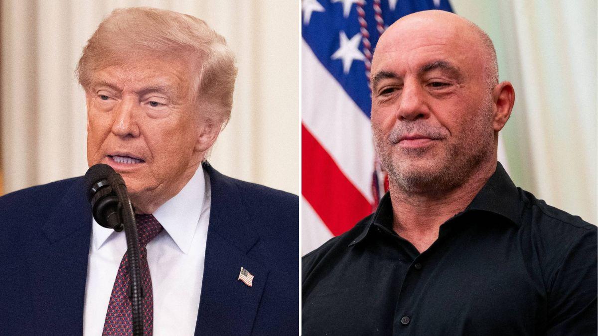 Joe Rogan joked about terror attack threat before White House UFC bomb ...