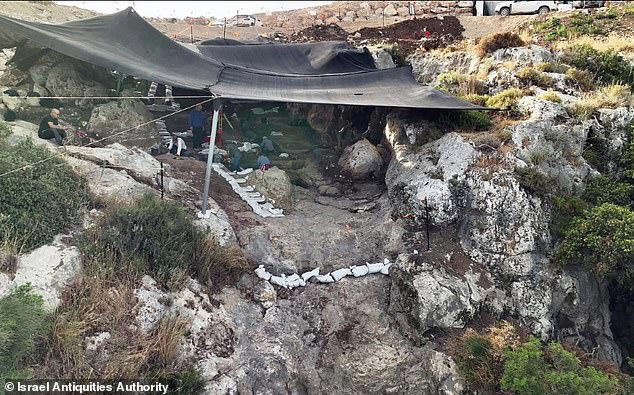 Lost chapter of human evolution exposed after 300,000-year-old cave ...