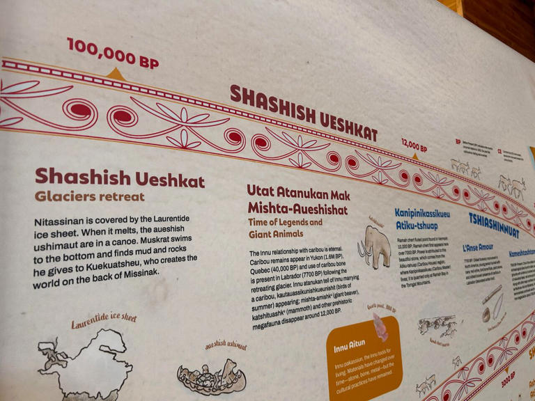N.L. government needs to ‘acknowledge the harms’ its caused, says Innu ...