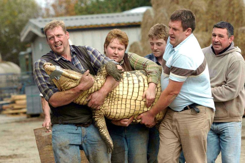Boy, 3, recovering after being thrown into crocodile pit by man with ...
