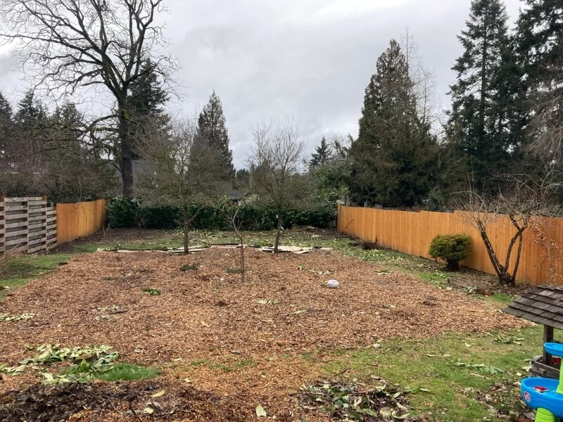 Oregon food forest packs fruit trees 13 feet apart, and now the ...