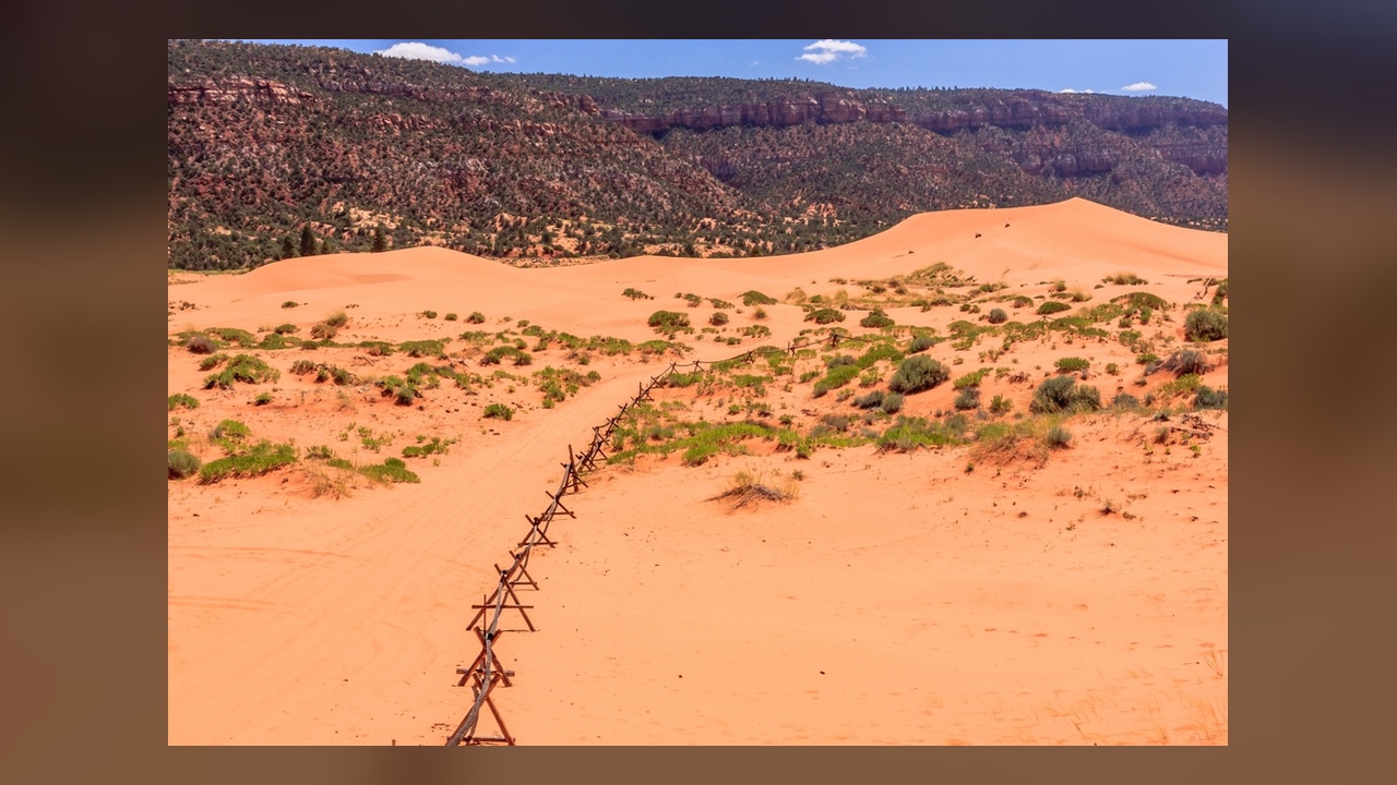 Utah’s only pink dune field sits between red cliffs and juniper trees ...
