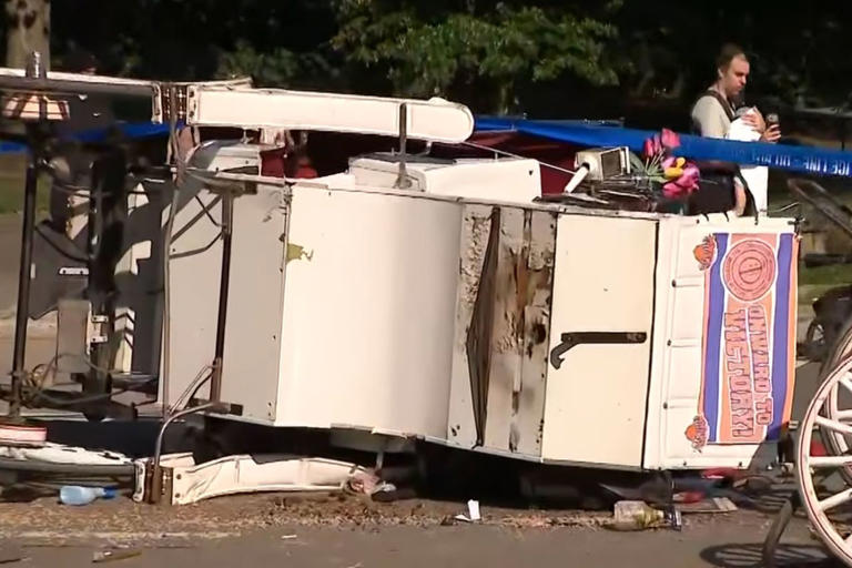 18-year-old tourist killed in horse-drawn carriage incident was trying ...