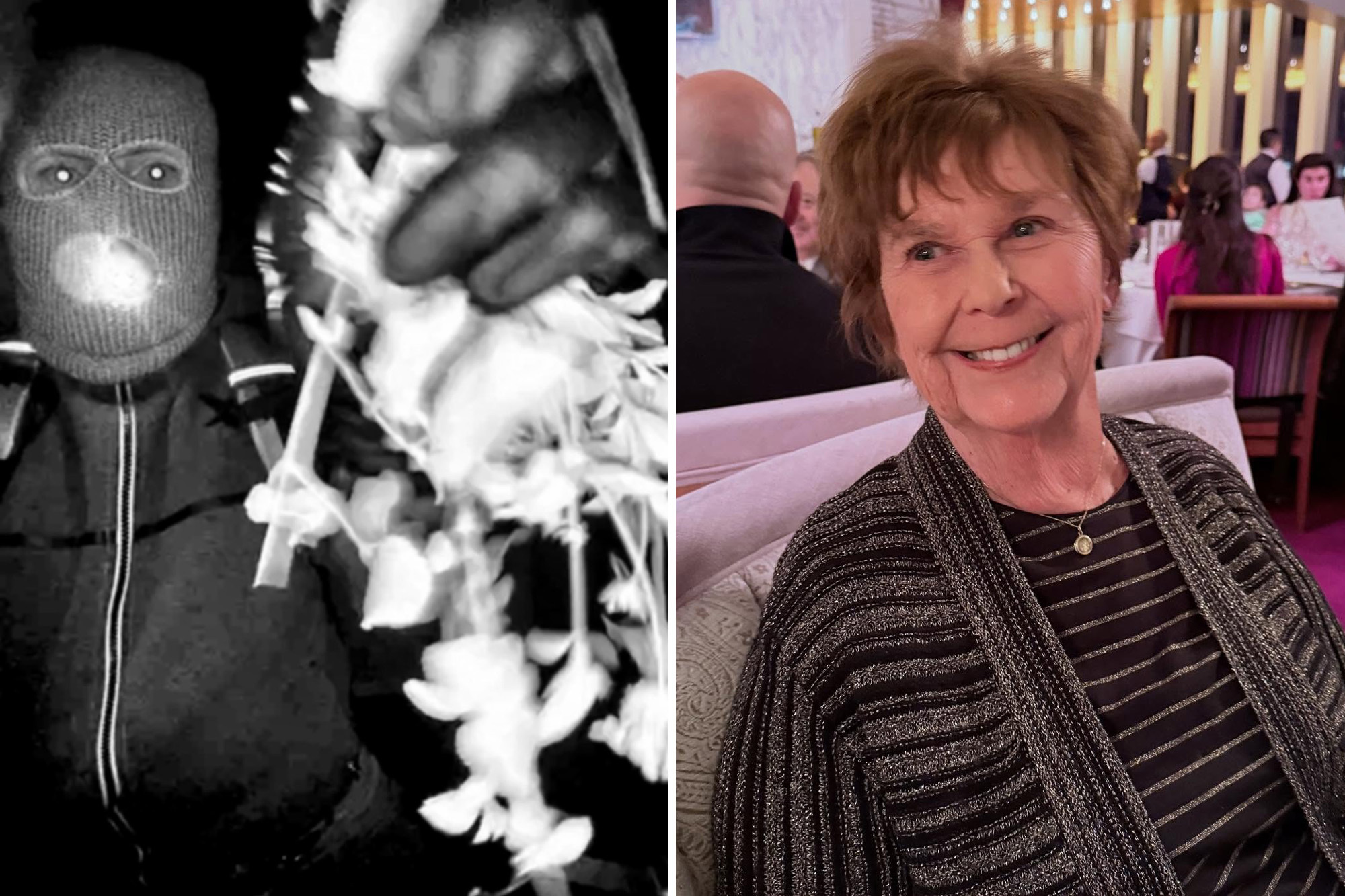 The two details in Nancy Guthrie ransom note that have detectives ...