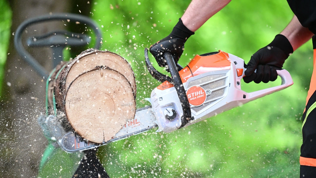 4 top electric chainsaws for every cutting task