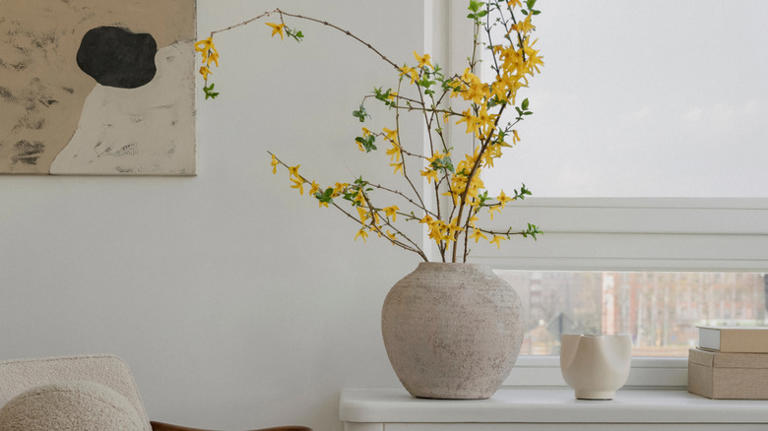 Say bye to boring decor: The thrift store find that creates a lush look ...
