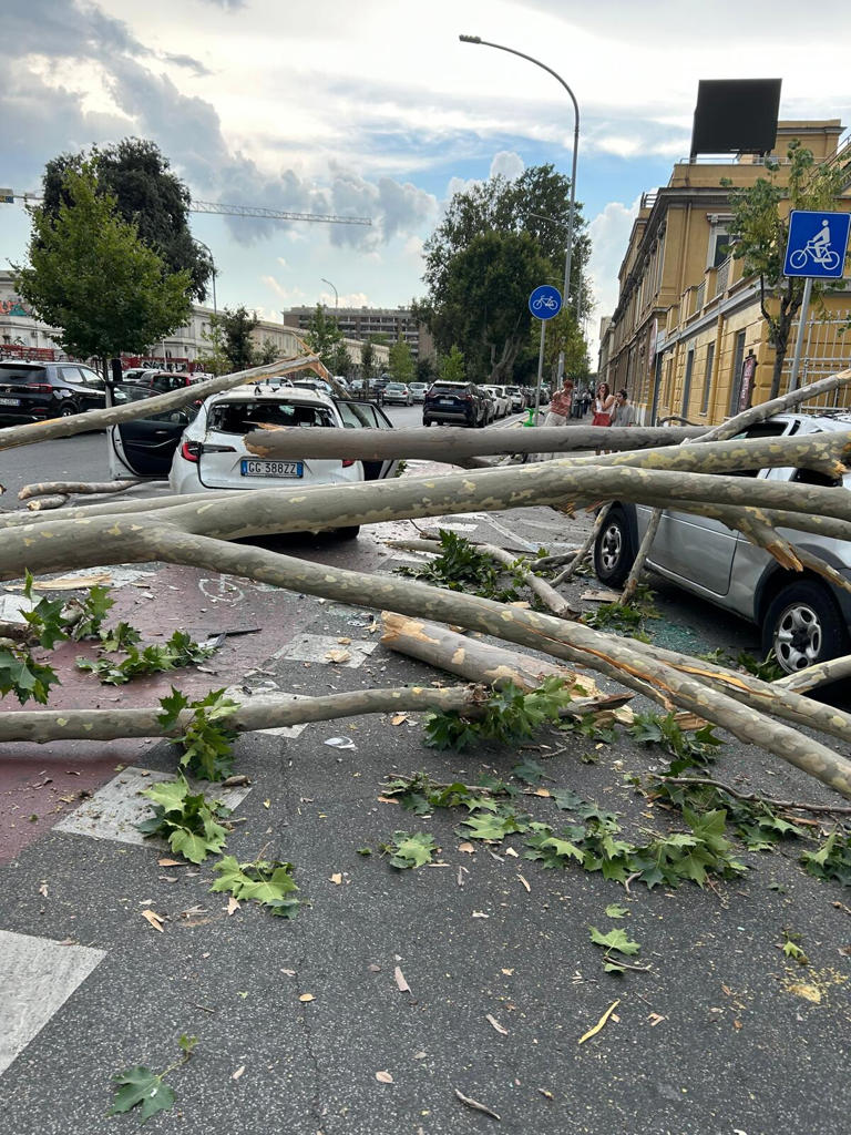 Roma: tragedia sfiorata in via Ostiense, albero cade su taxi in transito