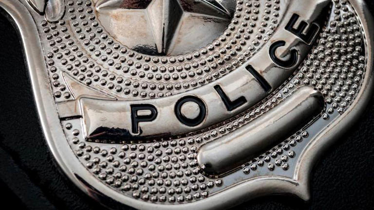 YPD: Man wanted on warrant tries to jump out window, take officer with him