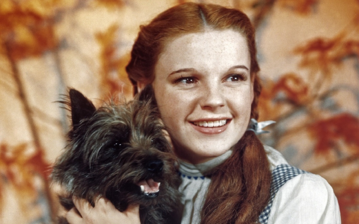 ¿Recuerdas a la niña de 'El Mago de Oz'? Revelan los abusos de ...