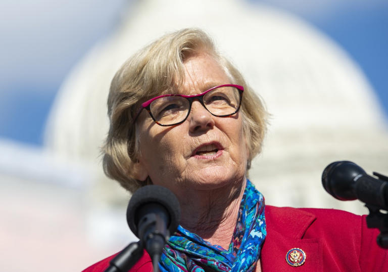 Lawmaker urges expansion of Great American Cotton Plan to other natural ...