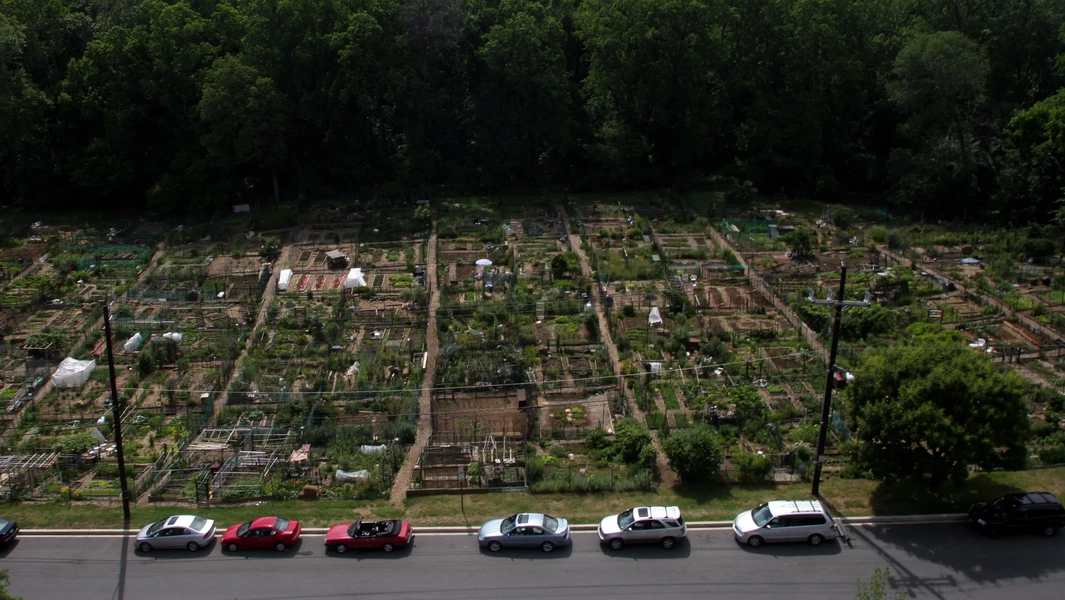 Student-led hydroponics project tackles food insecurity