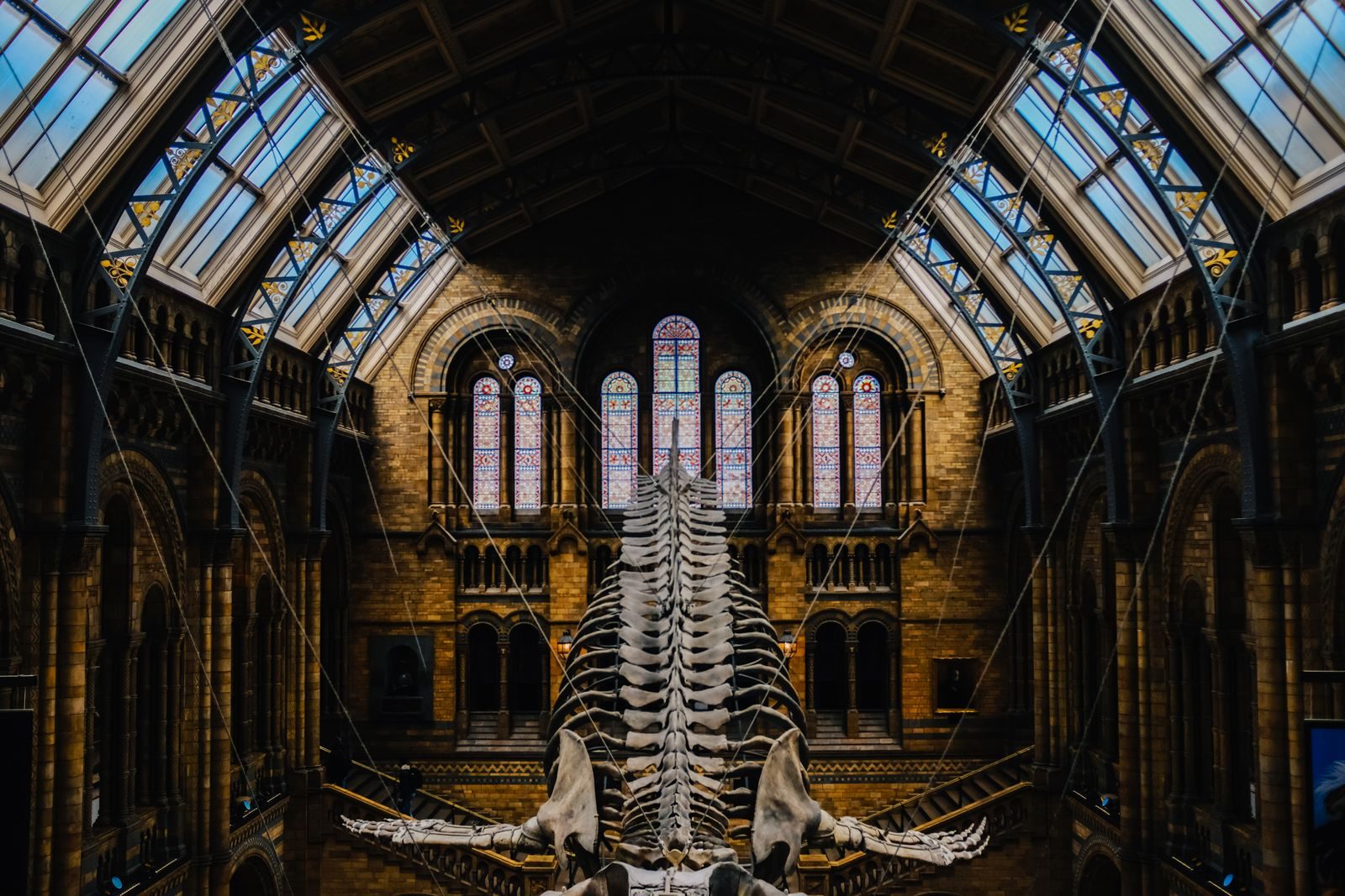 The ancient colossus that shattered every fossil record