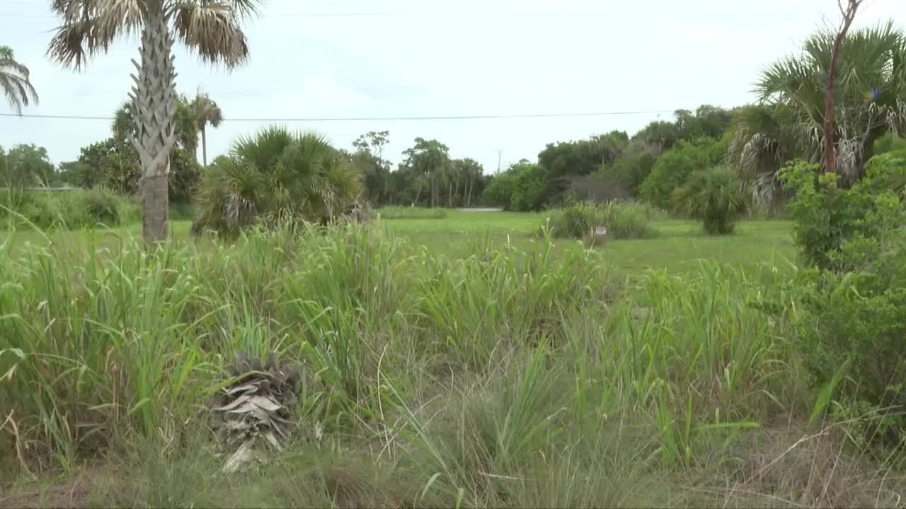 $10M land donation protects Hobe Sound scrub habitat