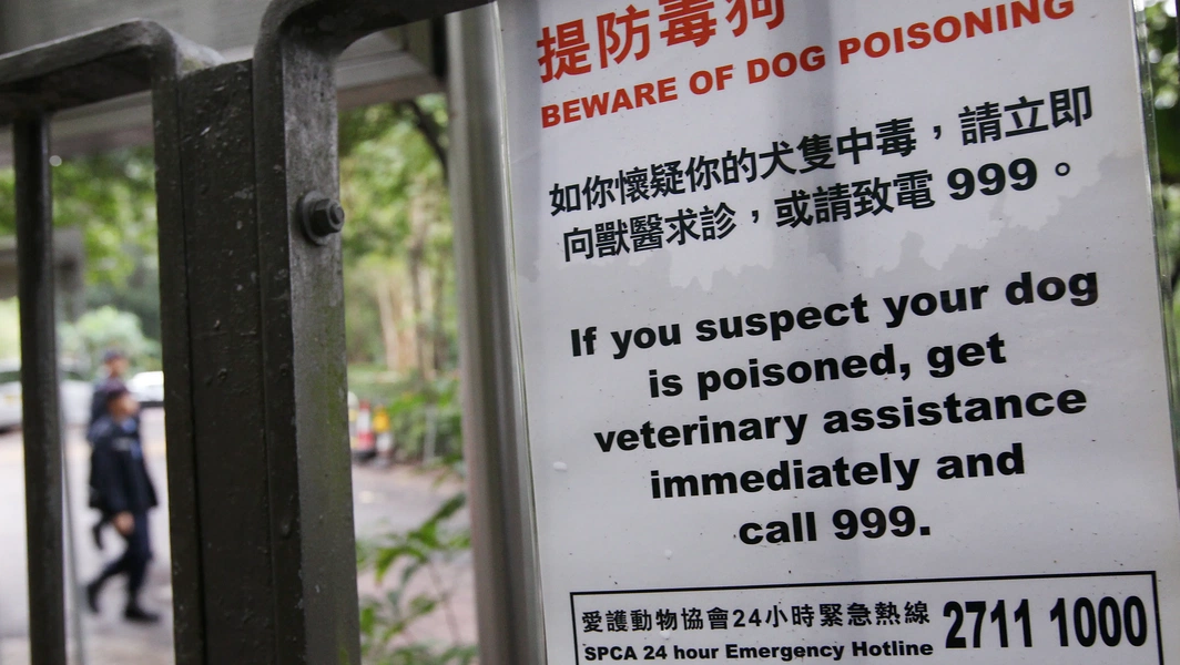 23 common poisons dangerous to dogs