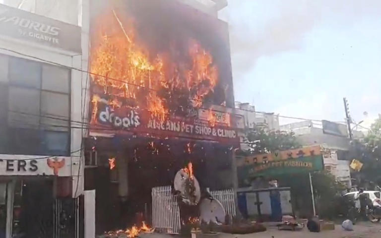 Lucknow: 15 dead as blaze rips through building housing pet shop ...