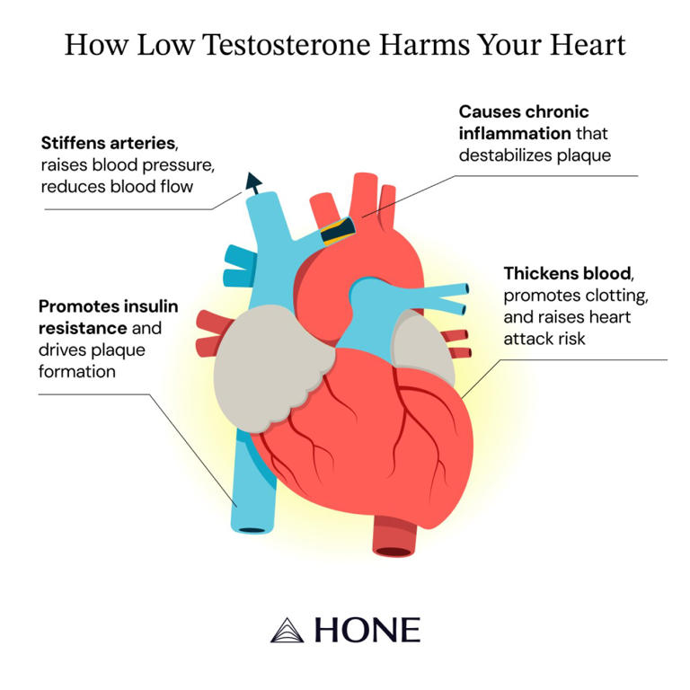What every man needs to know about testosterone and heart health
