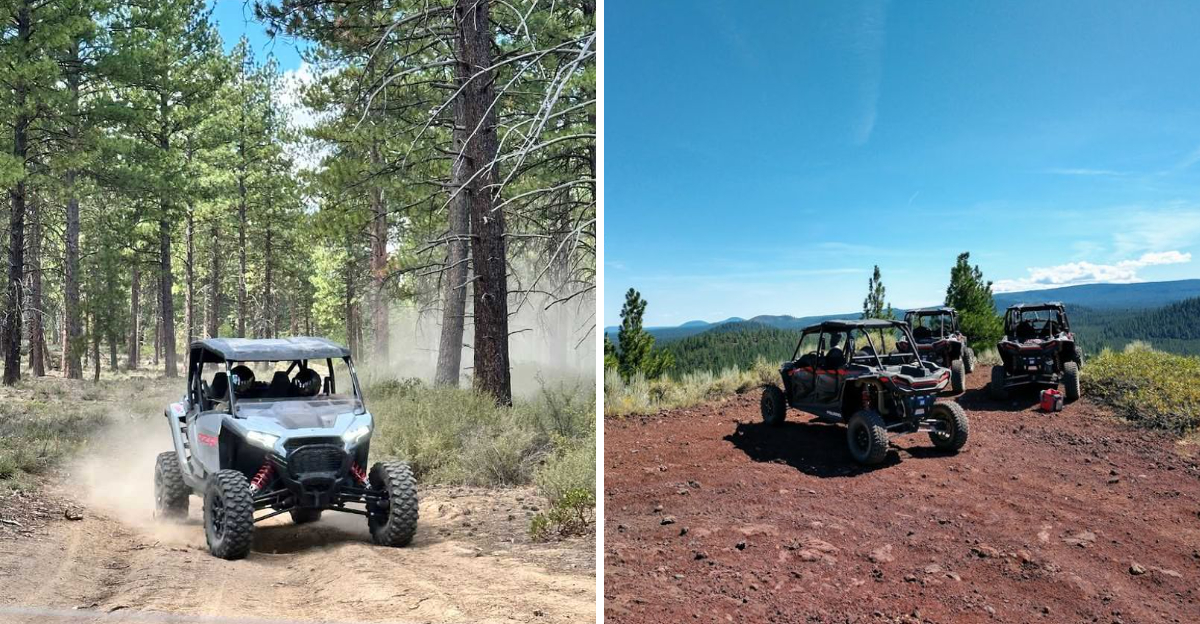 This Oregon off-road outfitter lets you drive through lava fields and ...