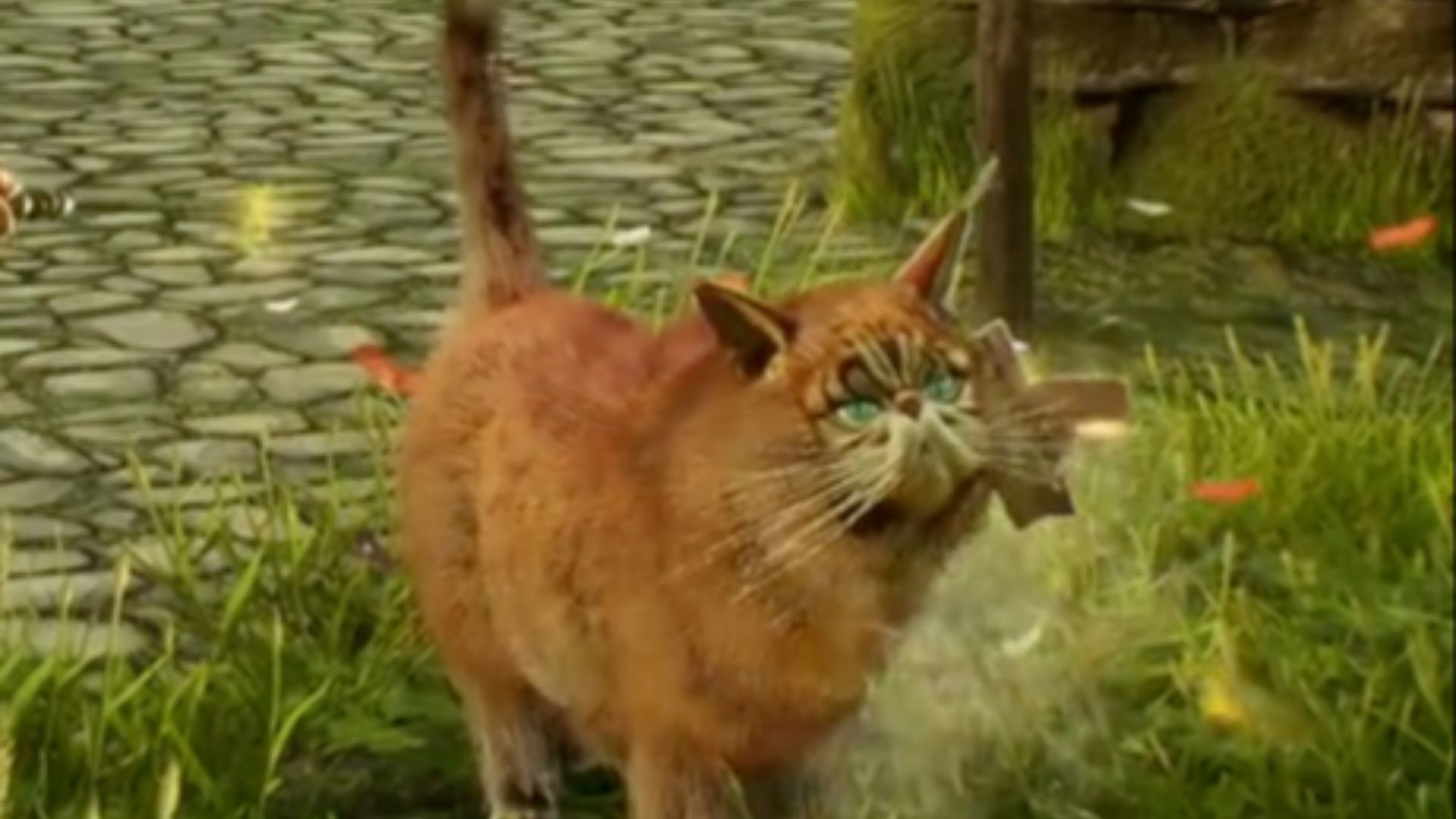 10 magical creatures we’d want as pets & 10 that would destroy the house