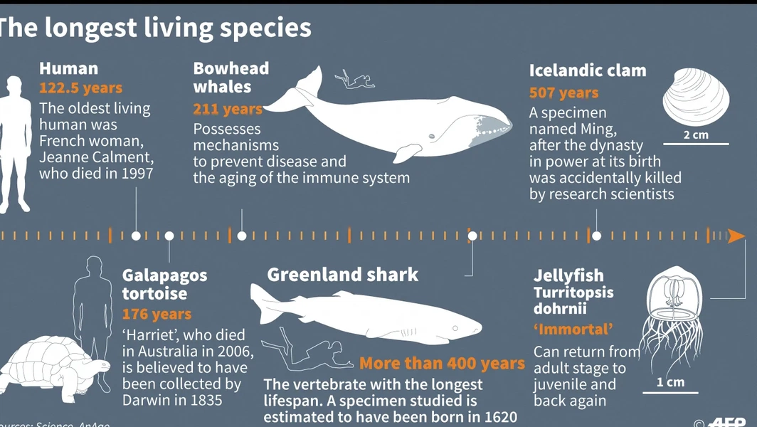 12 extraordinary species with remarkable longevity