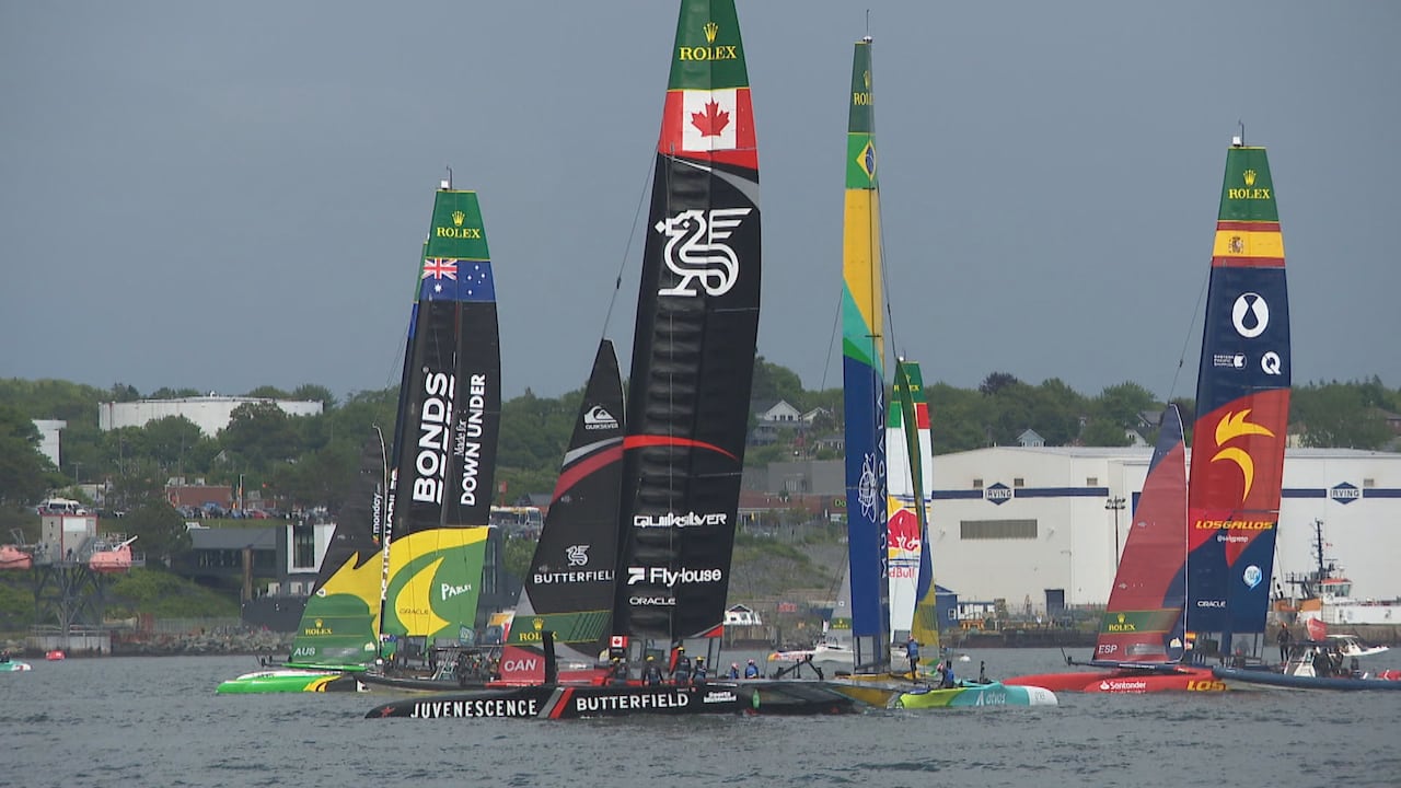 Halifax business group reflects on SailGP success