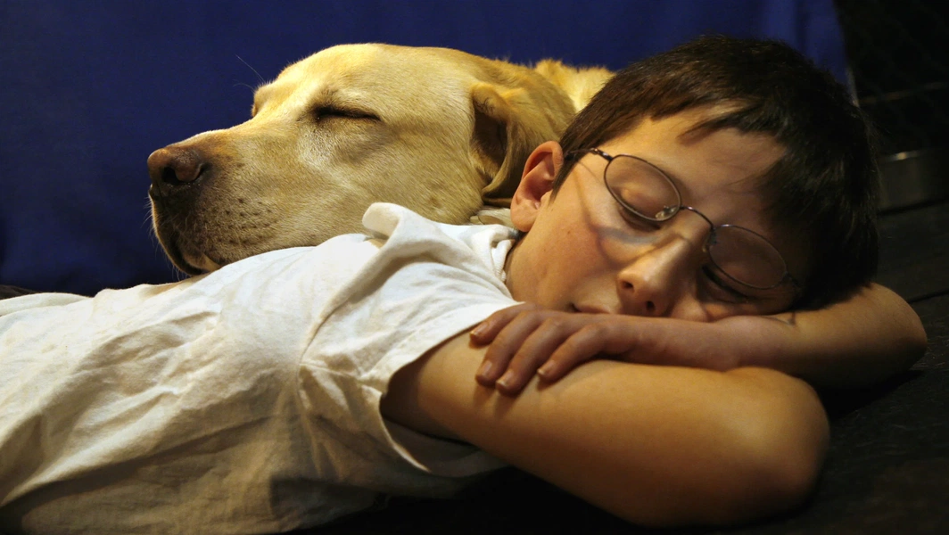 Why dogs sleep close to their owners