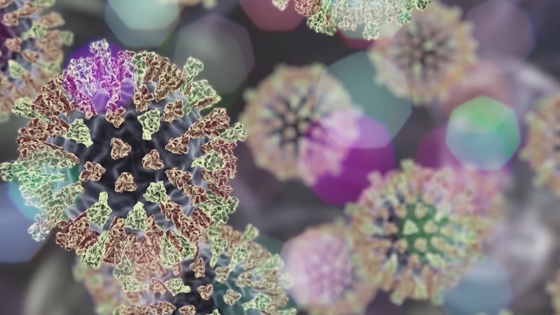 Measles are once again growing a concern