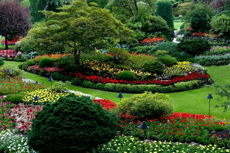 Building cohesive landscapes with color, texture, and repetition