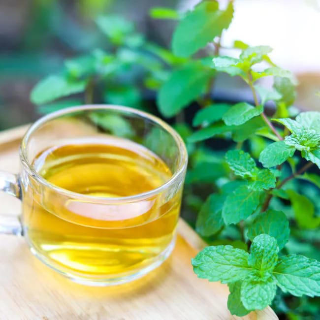 What happens to your body when you drink spearmint tea consistently ...