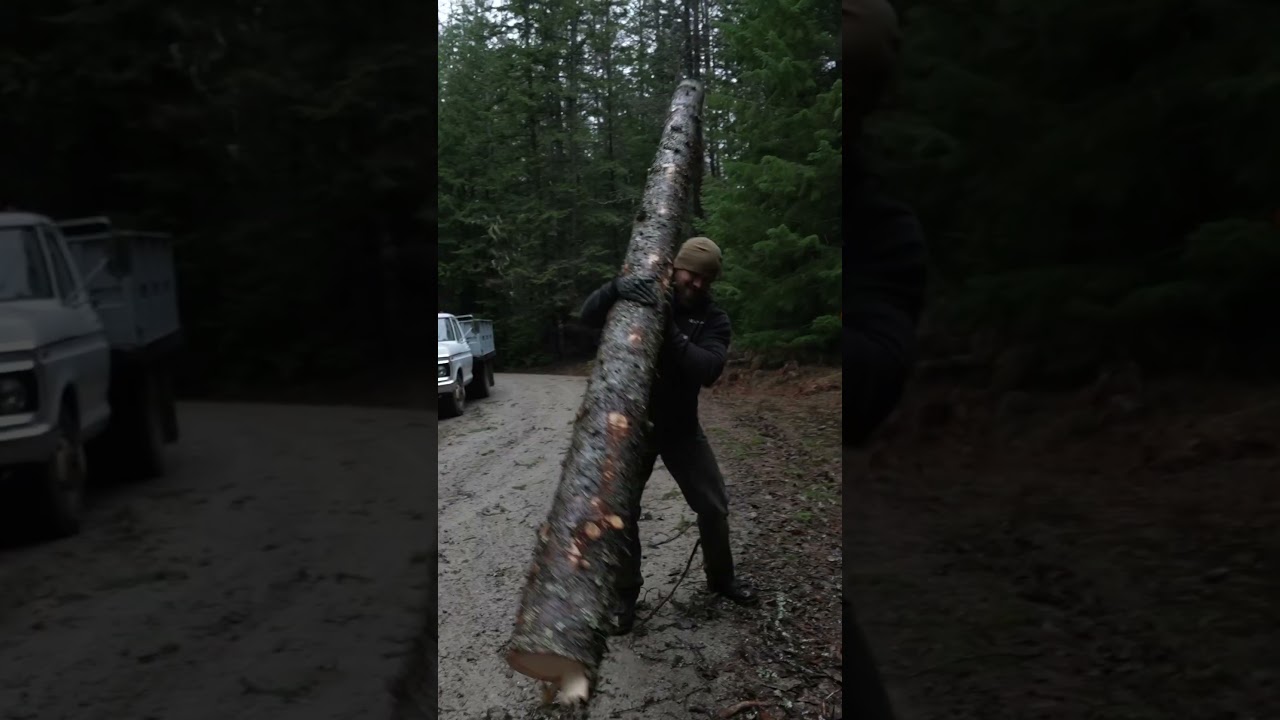 Turning a tree into a trailer